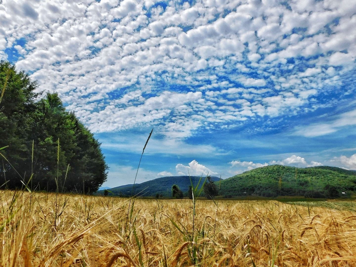 Visit Perušić | Natural herritage